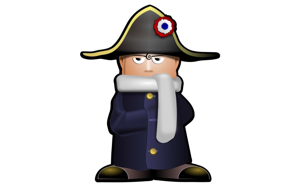 25 интересных фактов о Наполеоне Бонапарте videosektor.net